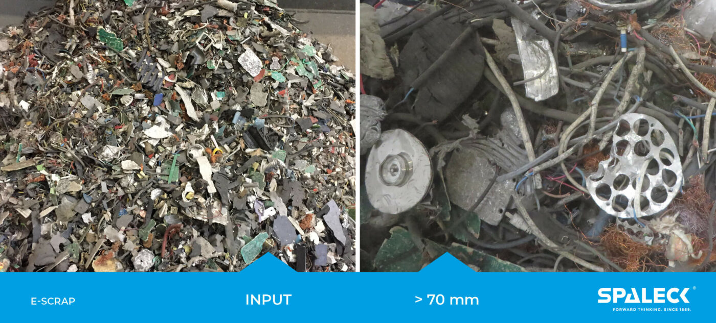 Screening Results - SPALECK