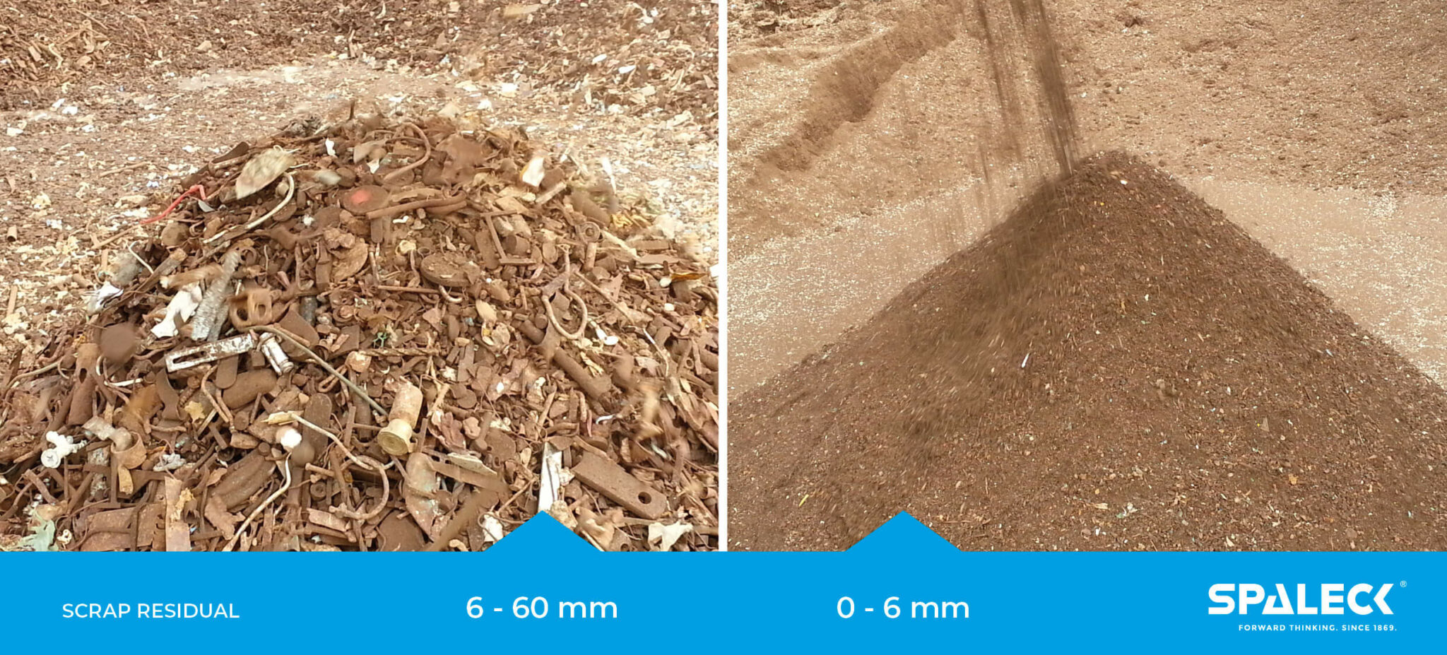 Screening Results - SPALECK