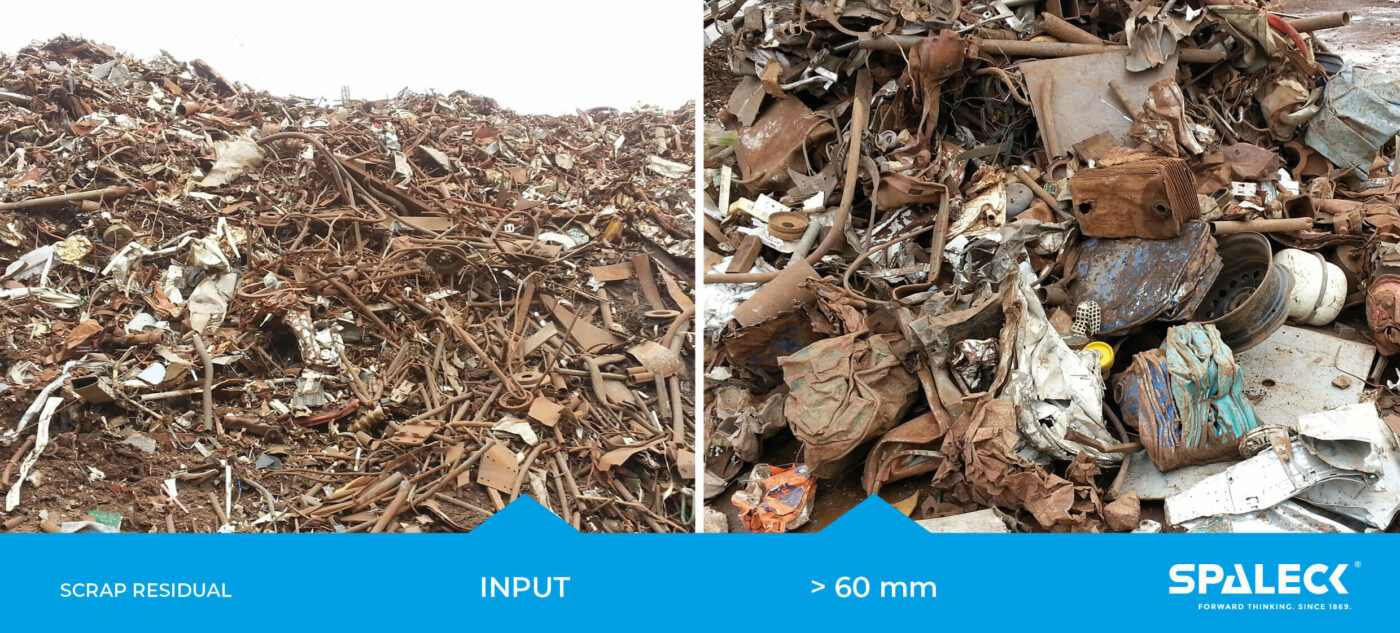 Screening Results - SPALECK